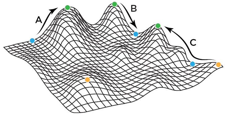 BIO 770 – Dr. Pangloss reborn? Natural selection in evolution – Spring 2023